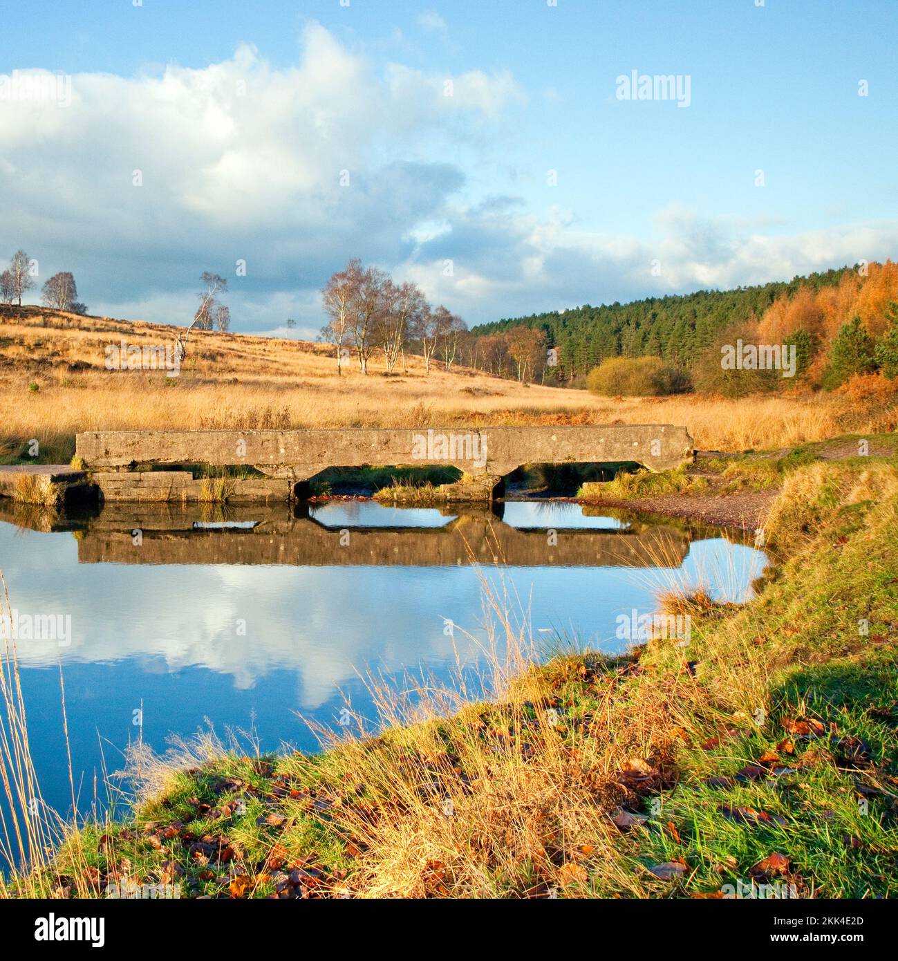 Pool in Sherbrook Valley late autumn Cannock Chase Country Park AONB ...