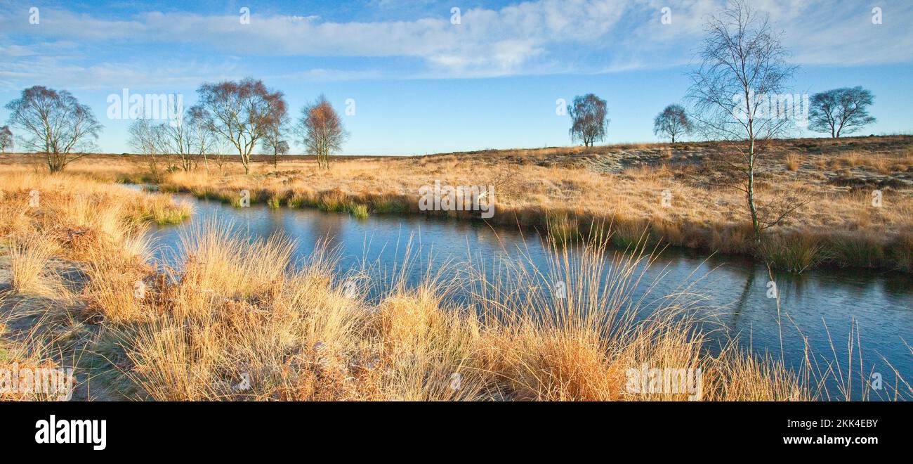 Womere in late autumn Cannock Chase Country Park AONB (area of ...