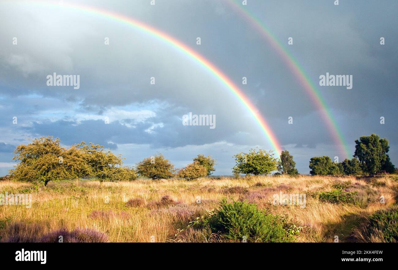 Rainbows across Brocton Field Cannock Chase Country Park AONB (area of ...