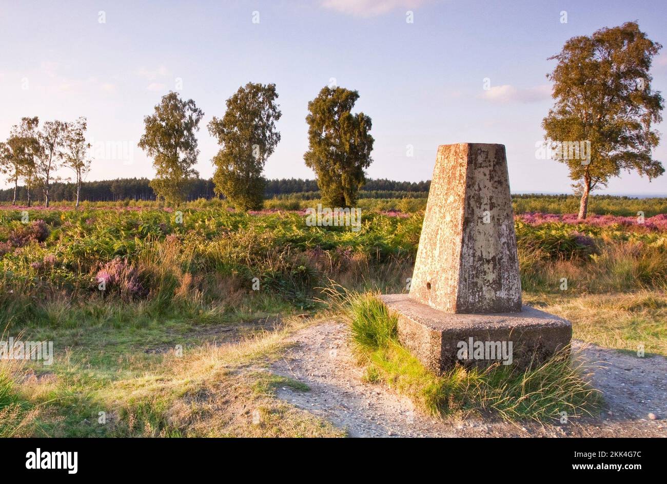 Trig point Late Summer Cannock Chase Country Park AONB (area of ...