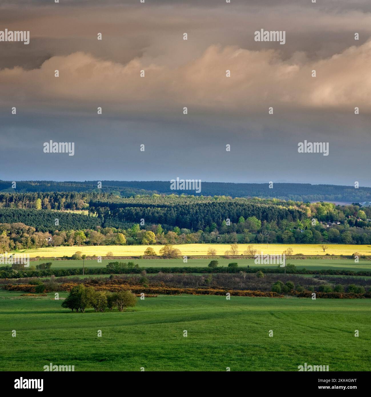 Stilecop Field Flaxley Green, view across the Trent Valley and Rugeley ...