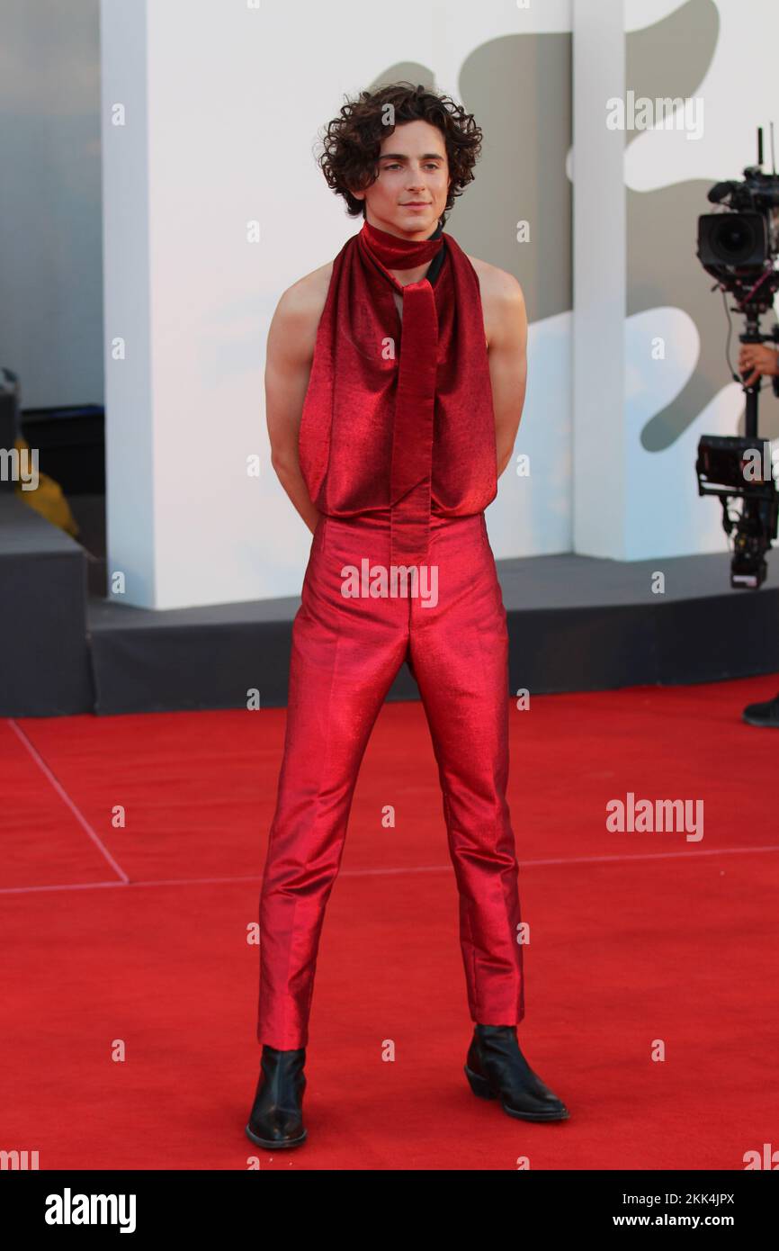Timothée Chalamet Red Carpet "Bones ad all Stock Photo - Alamy