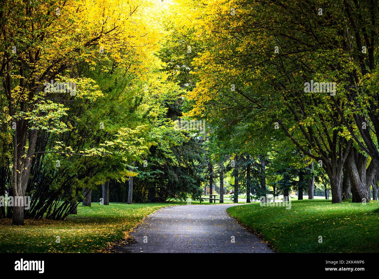 A pathway through a community recreation area in autumn colours at ...