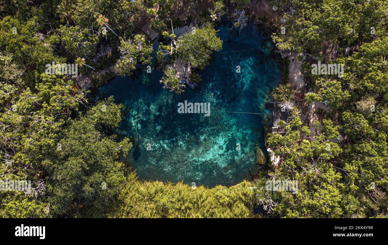 Cenote paradise’s heart in the middle of the nature in Tulum, Mexico ...