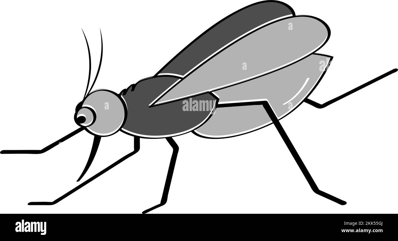 this is a mosquito vector illustration Stock Vector Image & Art - Alamy