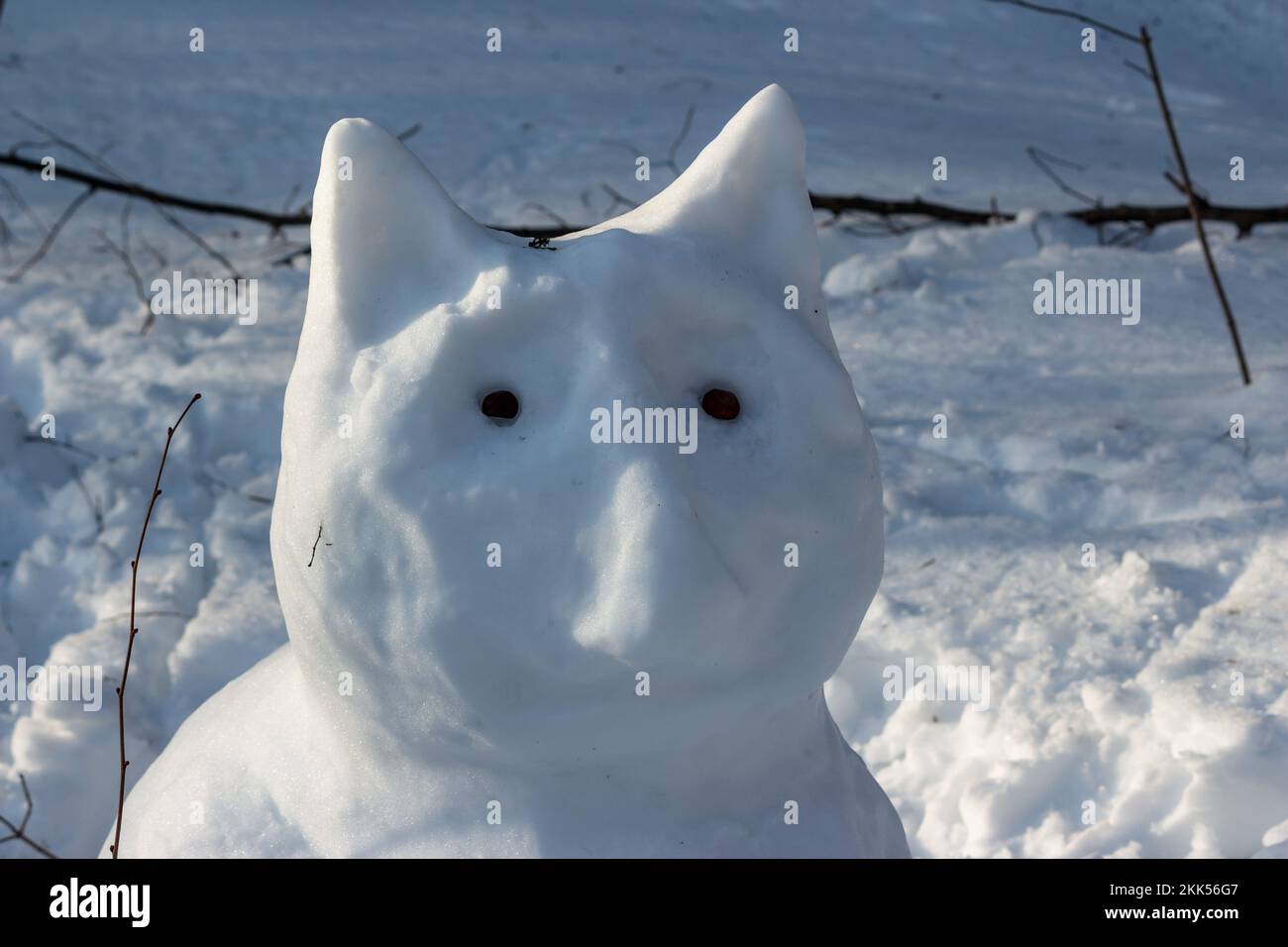 Snowman cat hi-res stock photography and images - Alamy