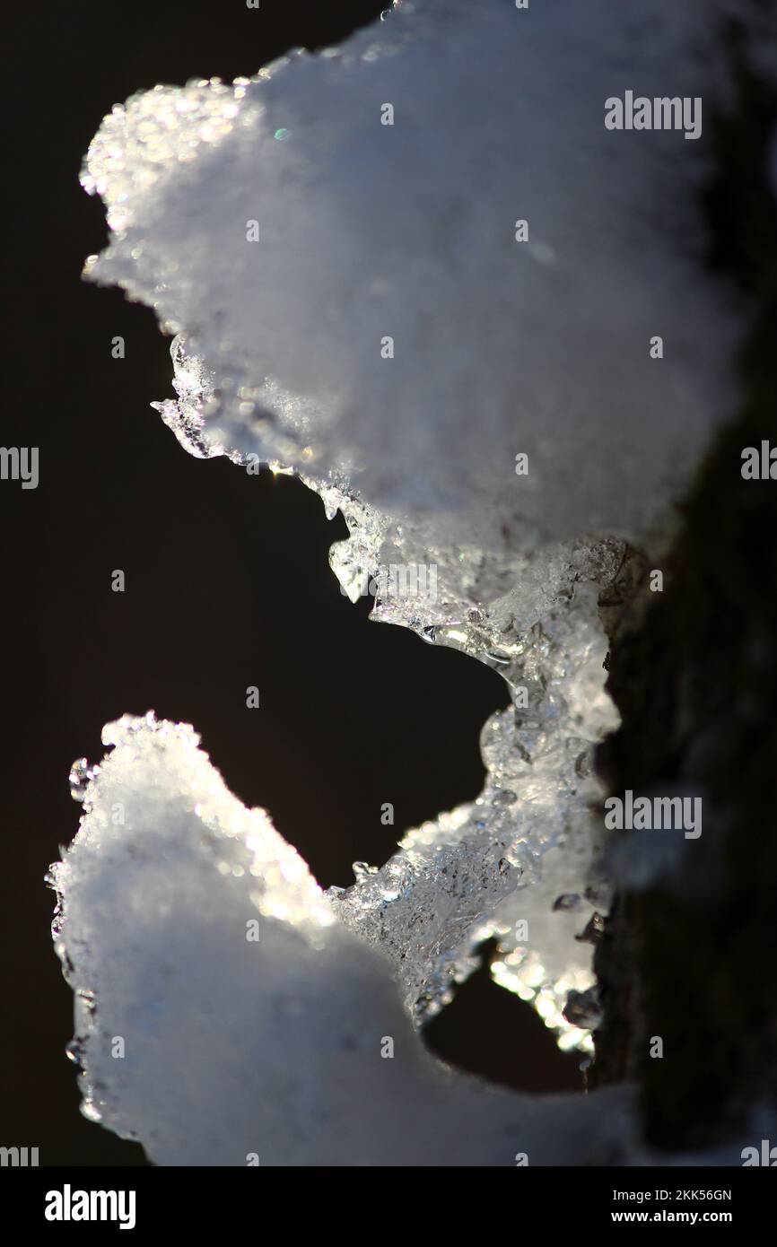 White snow melting and shining in the sun during a thaw in winter close ...
