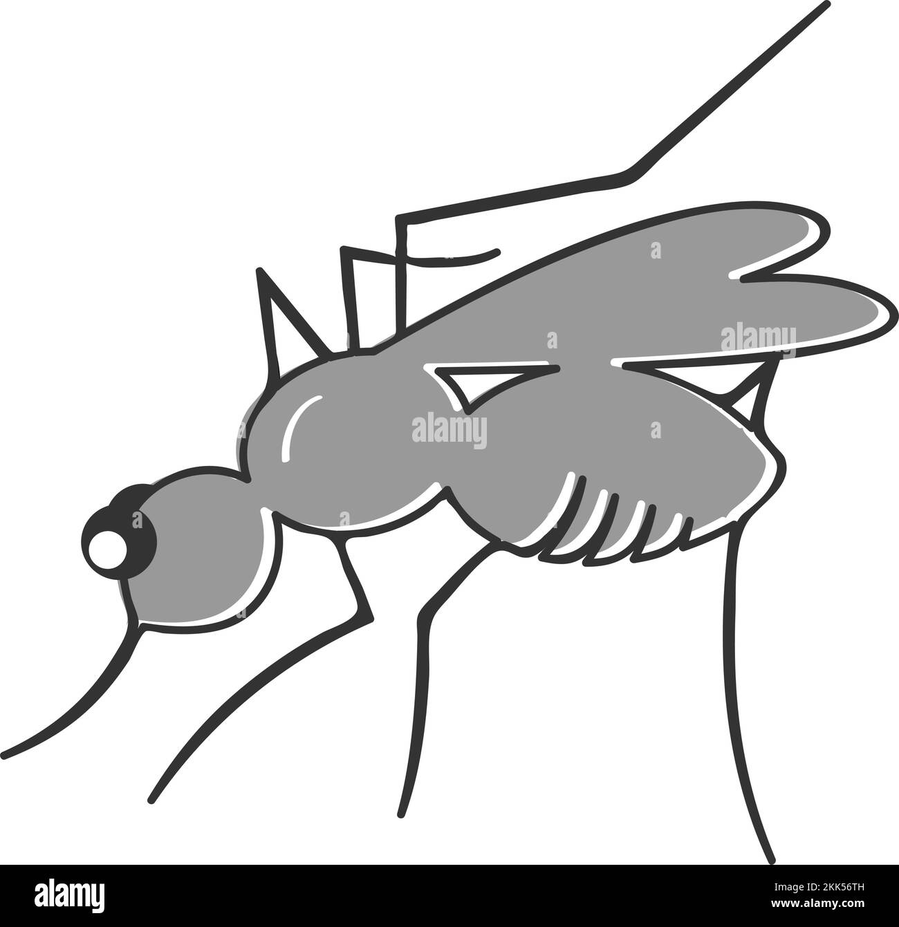 this is a mosquito vector illustration Stock Vector Image & Art - Alamy