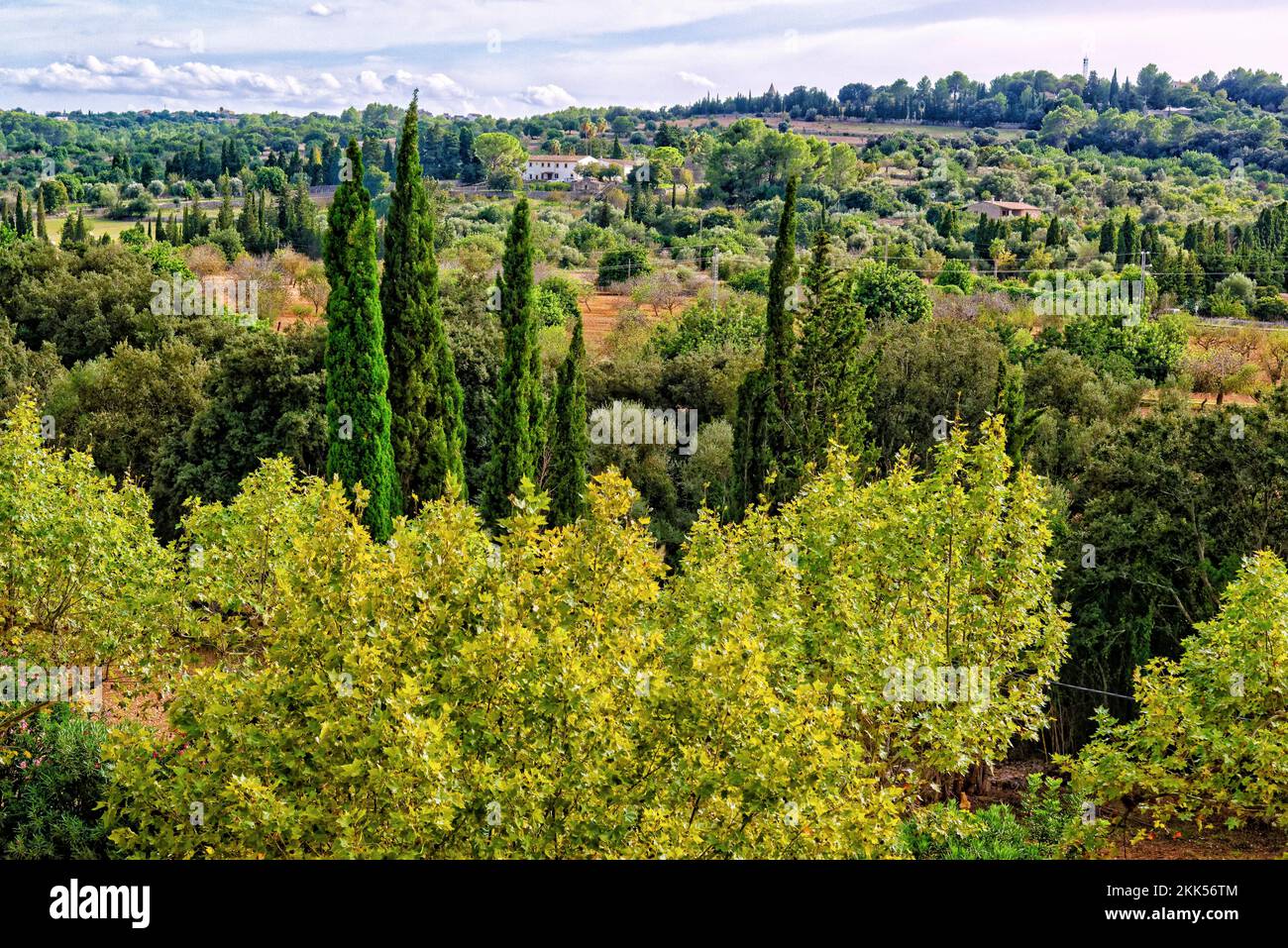 Campanet landscape in Mallorca, Spain Stock Photo - Alamy