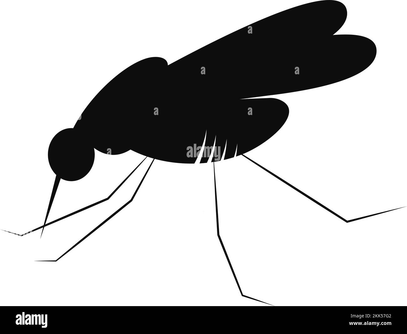this is a mosquito vector illustration Stock Vector Image & Art - Alamy