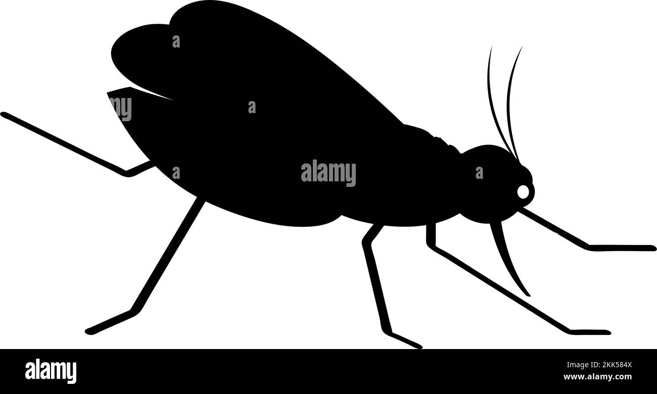 this is a mosquito vector illustration Stock Vector Image & Art - Alamy