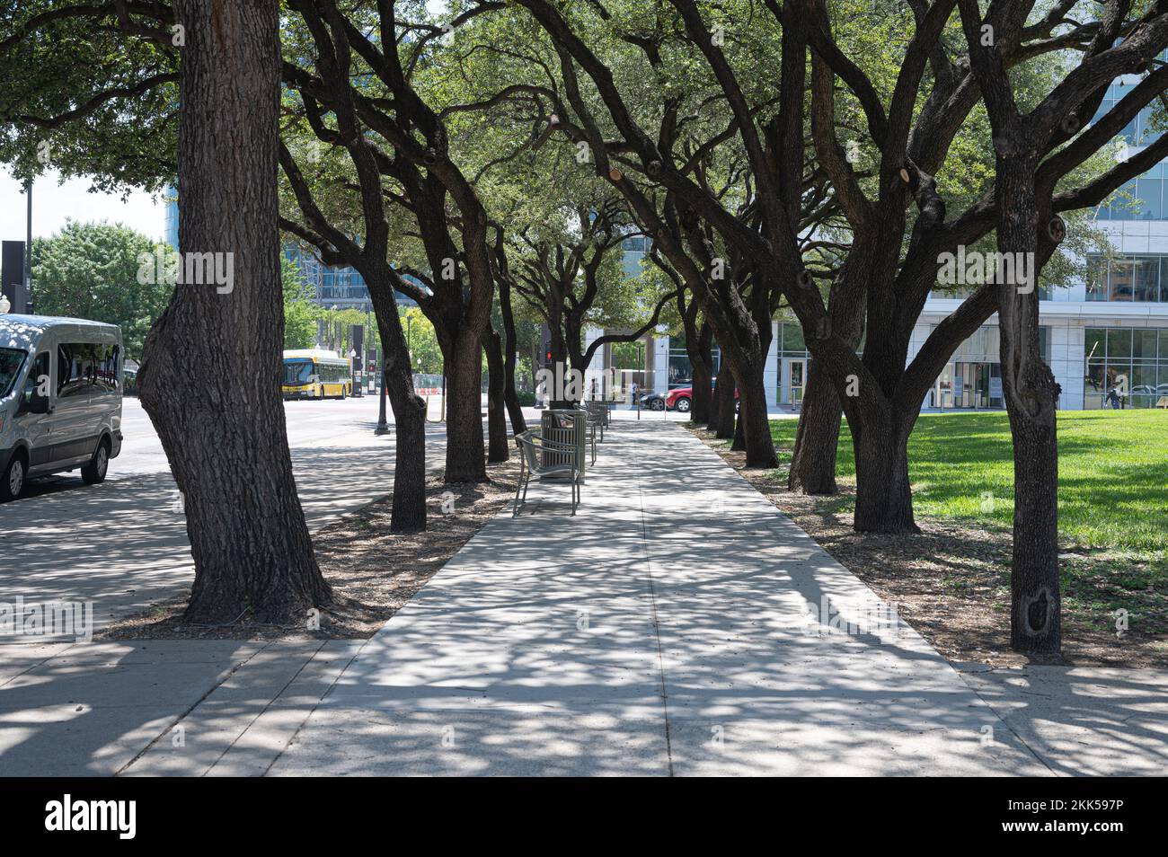 A sidewalk surrounded by greenery and buildings on a sunny day in ...