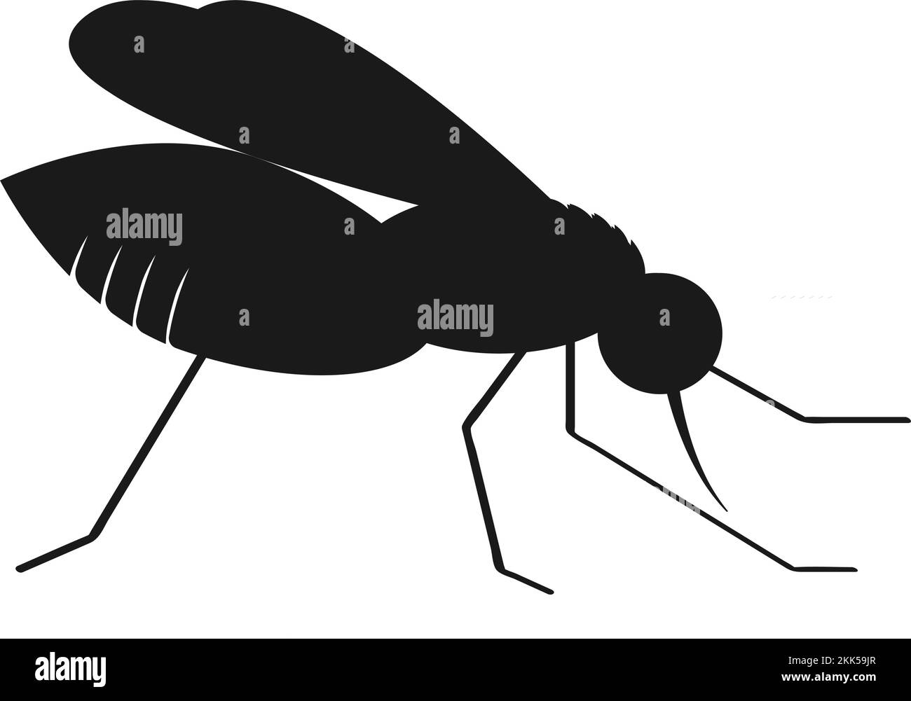 this is a mosquito vector illustration Stock Vector Image & Art - Alamy