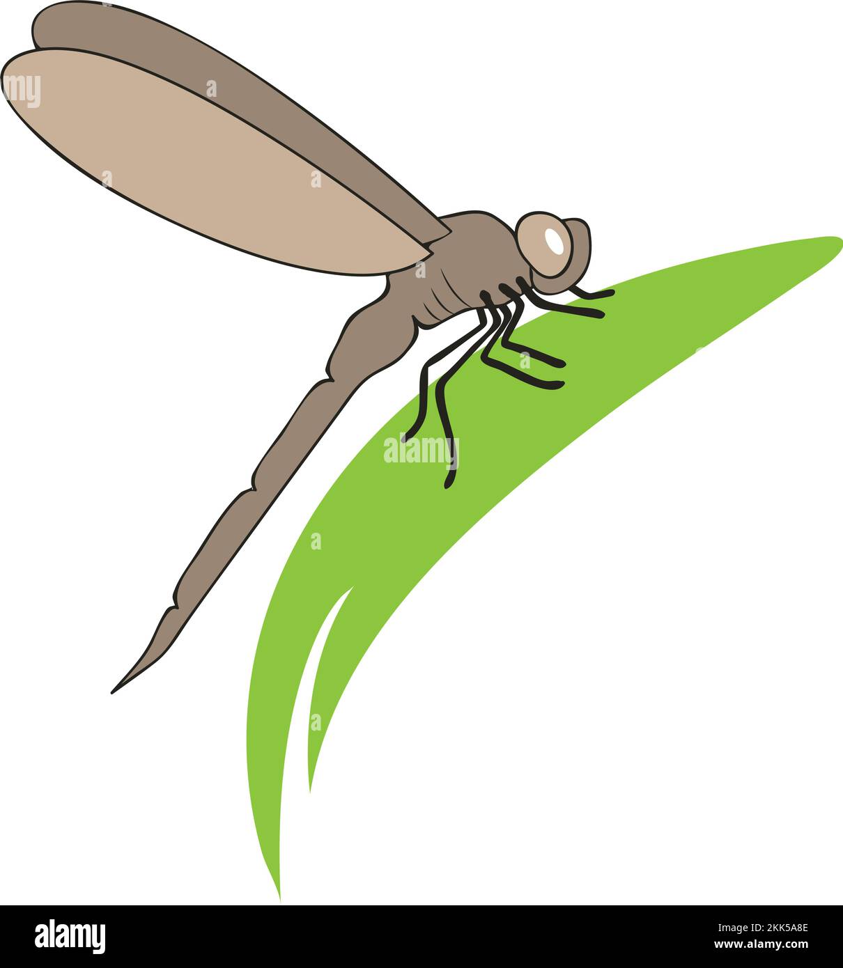 dragonfly vector element illustration design Stock Vector Image & Art ...