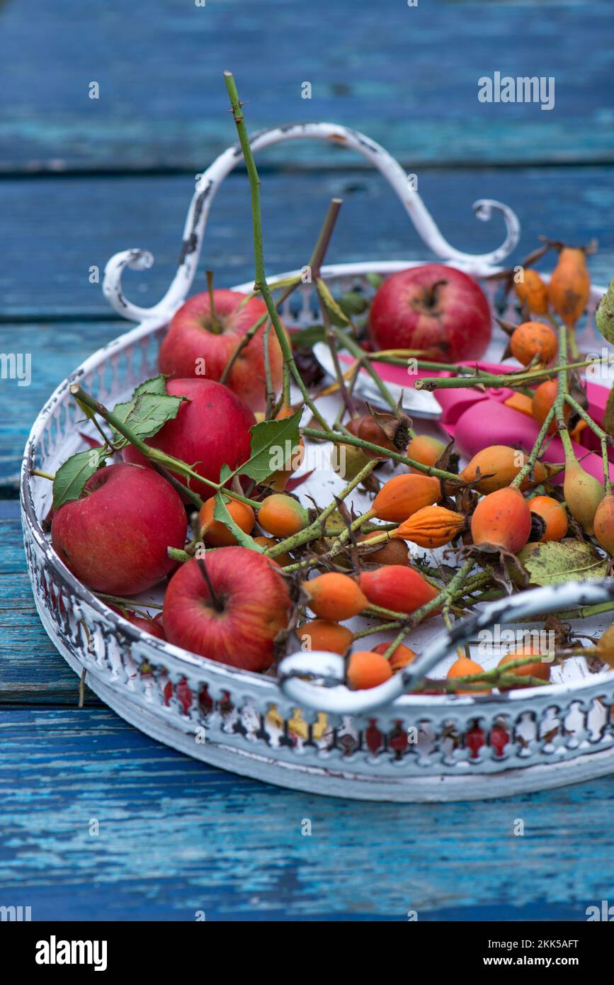Autumn fruits on a tablett Stock Photo - Alamy