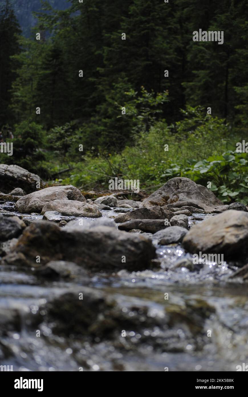 A beautiful shot of a river stream through rocky path Stock Photo - Alamy