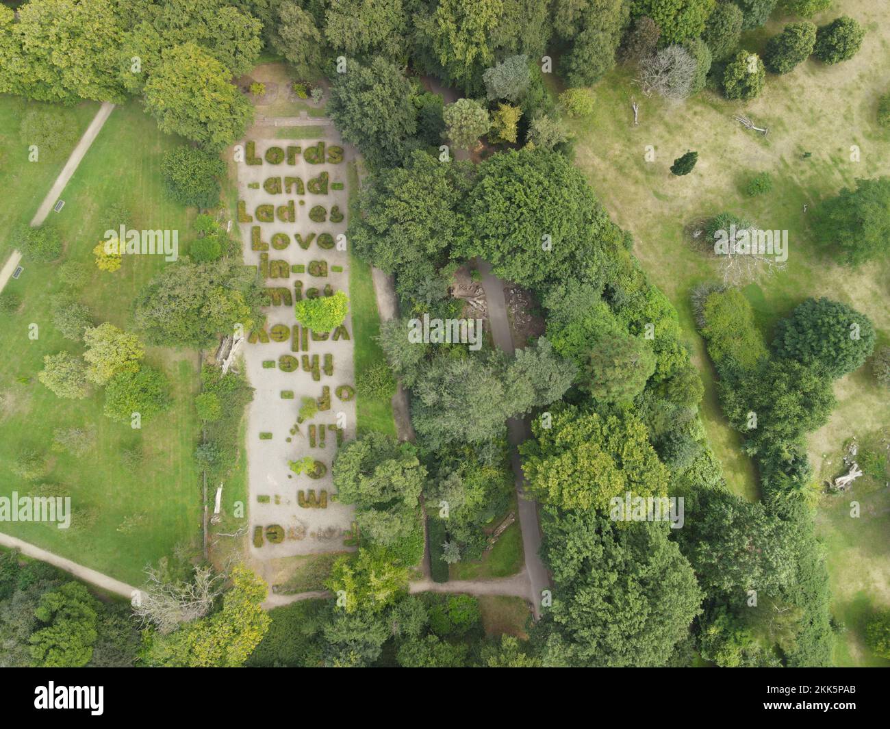 A top view of a beautiful forest in Calderstones Park, Liverpool, UK ...