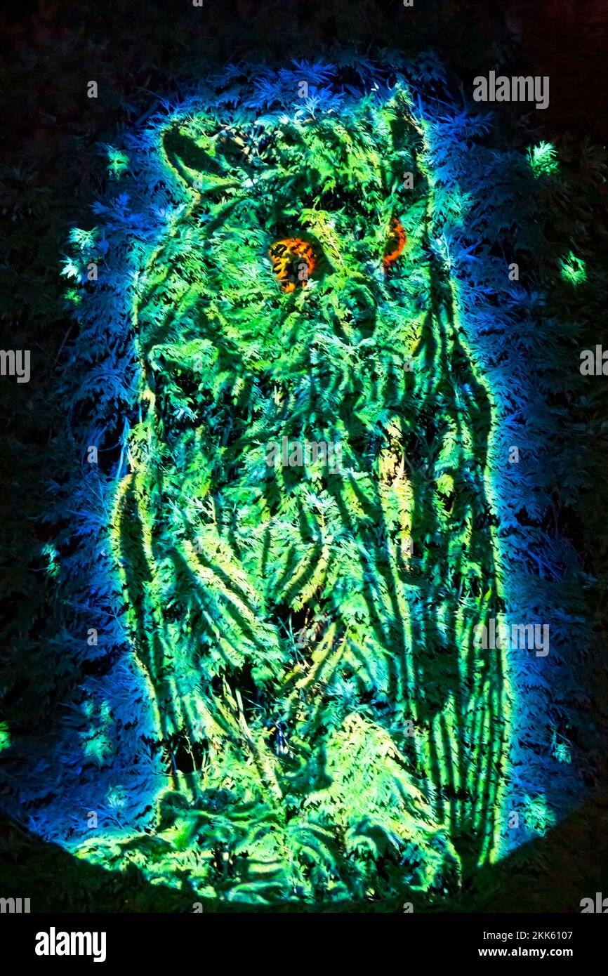 Owl projection on tree at Light Up Trails at Sir Harold Hillier Gardens ...