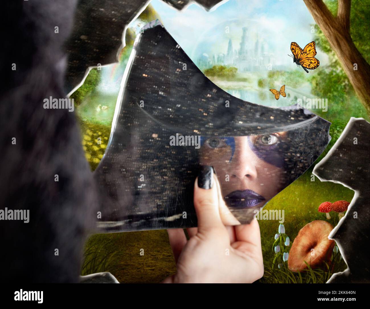 Polish butterflies hi-res stock photography and images - Alamy