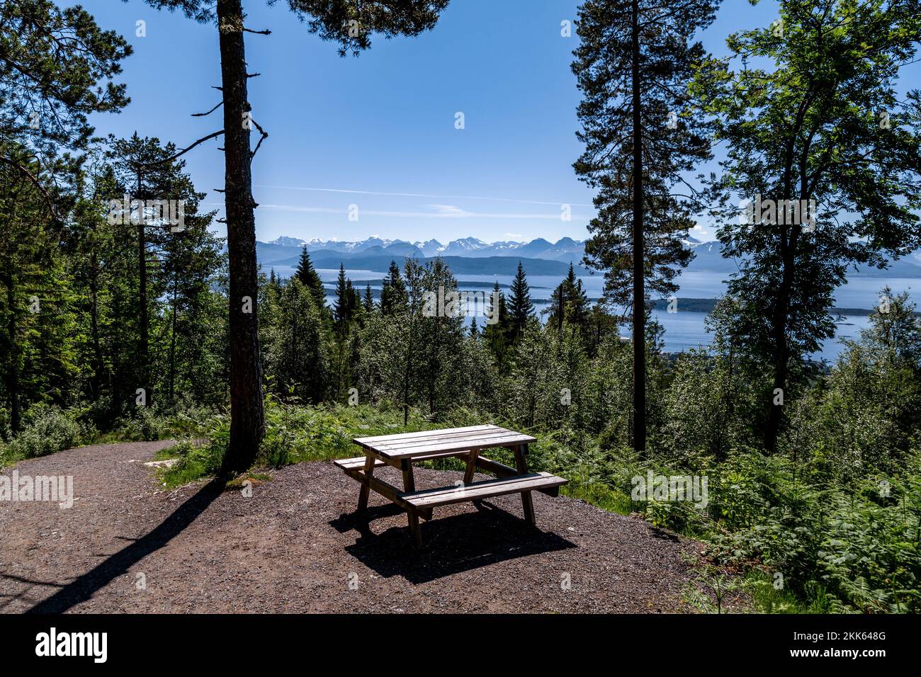 A Picnic Table by a Hillside Forest Path Above the Fjord in Molde ...