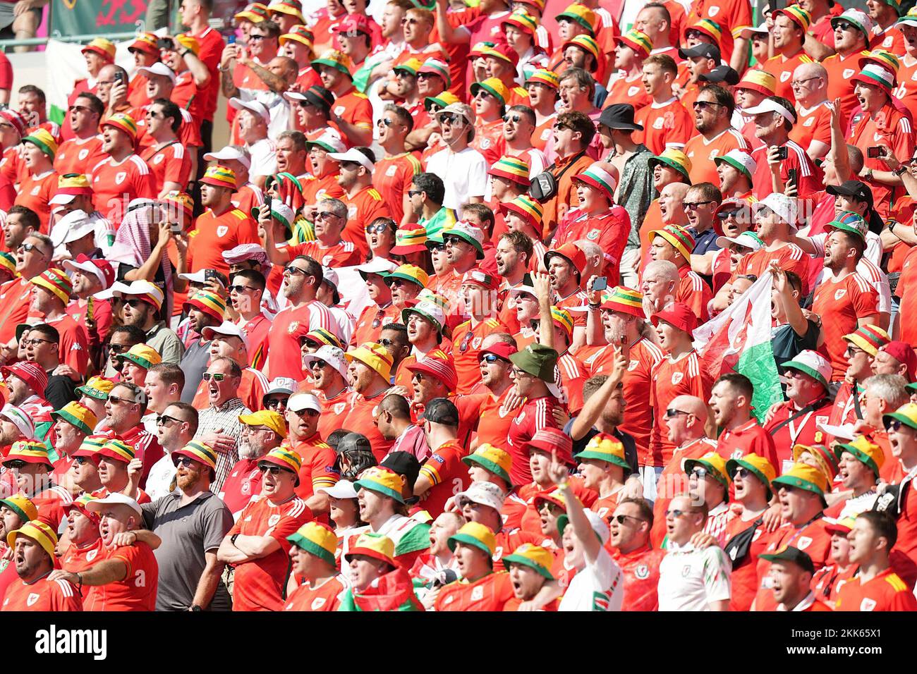 11/25/2022, Khalifa International Stadium, Doha, QAT, World Cup FIFA ...