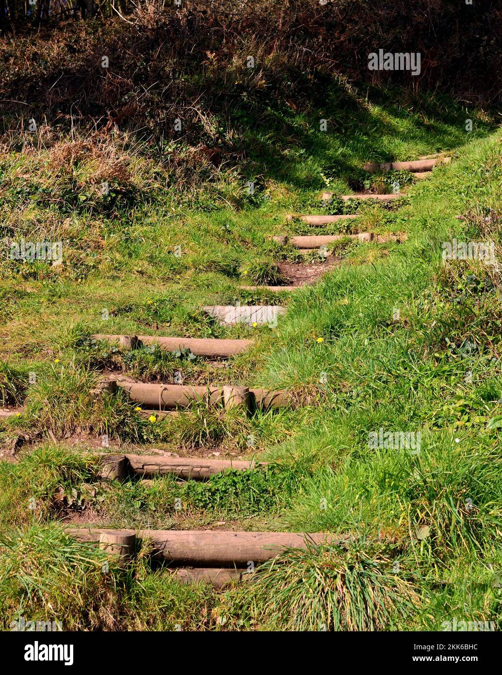 Steps on the South West Coast Path at Pudcombe Cove, South Devon Stock ...