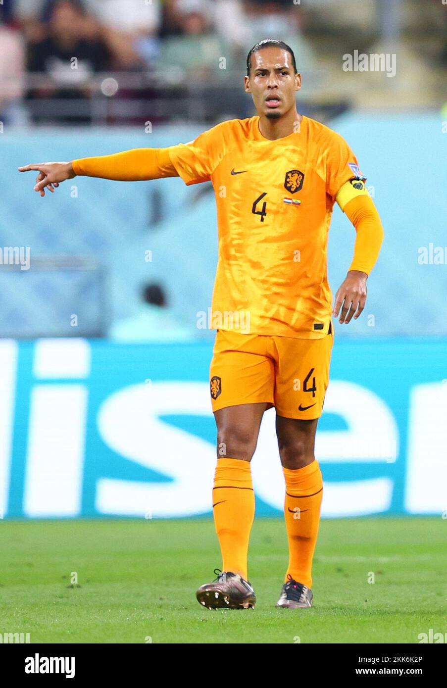 Al Rajjan, Qatar. 25th Nov, 2022. Soccer: World Cup, Netherlands ...