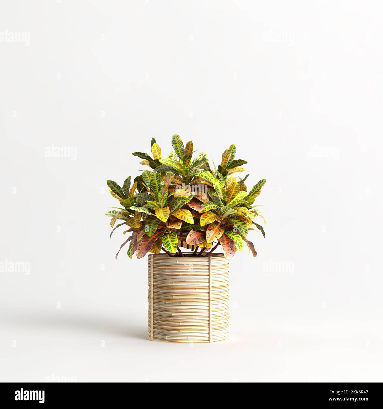 3d illustration of potted plant isolated on white background Stock ...