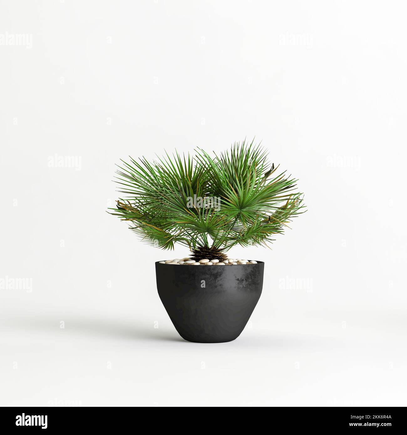 3d illustration of potted plant isolated on white background Stock ...