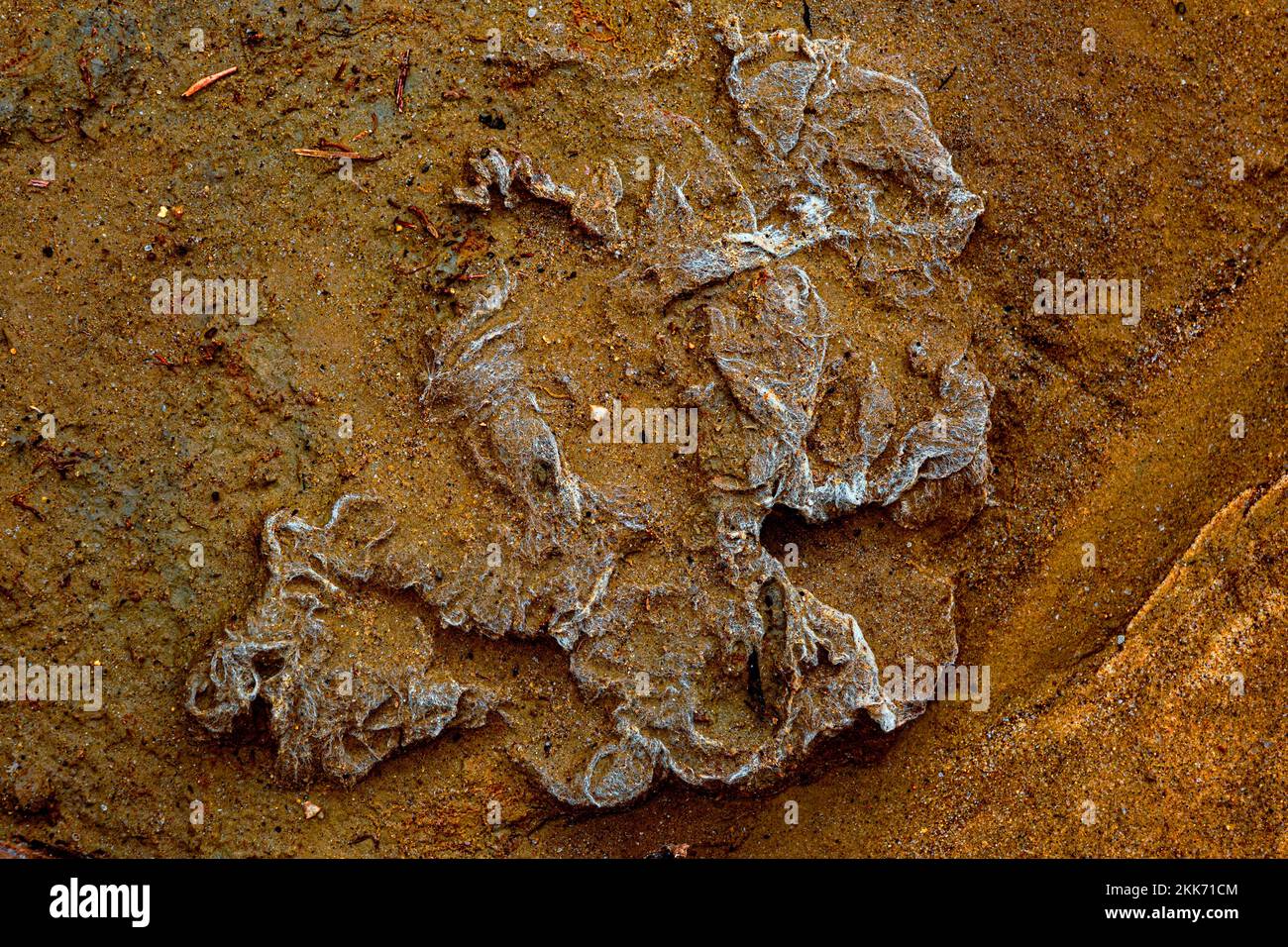 fishing net buried in the sand Stock Photo - Alamy