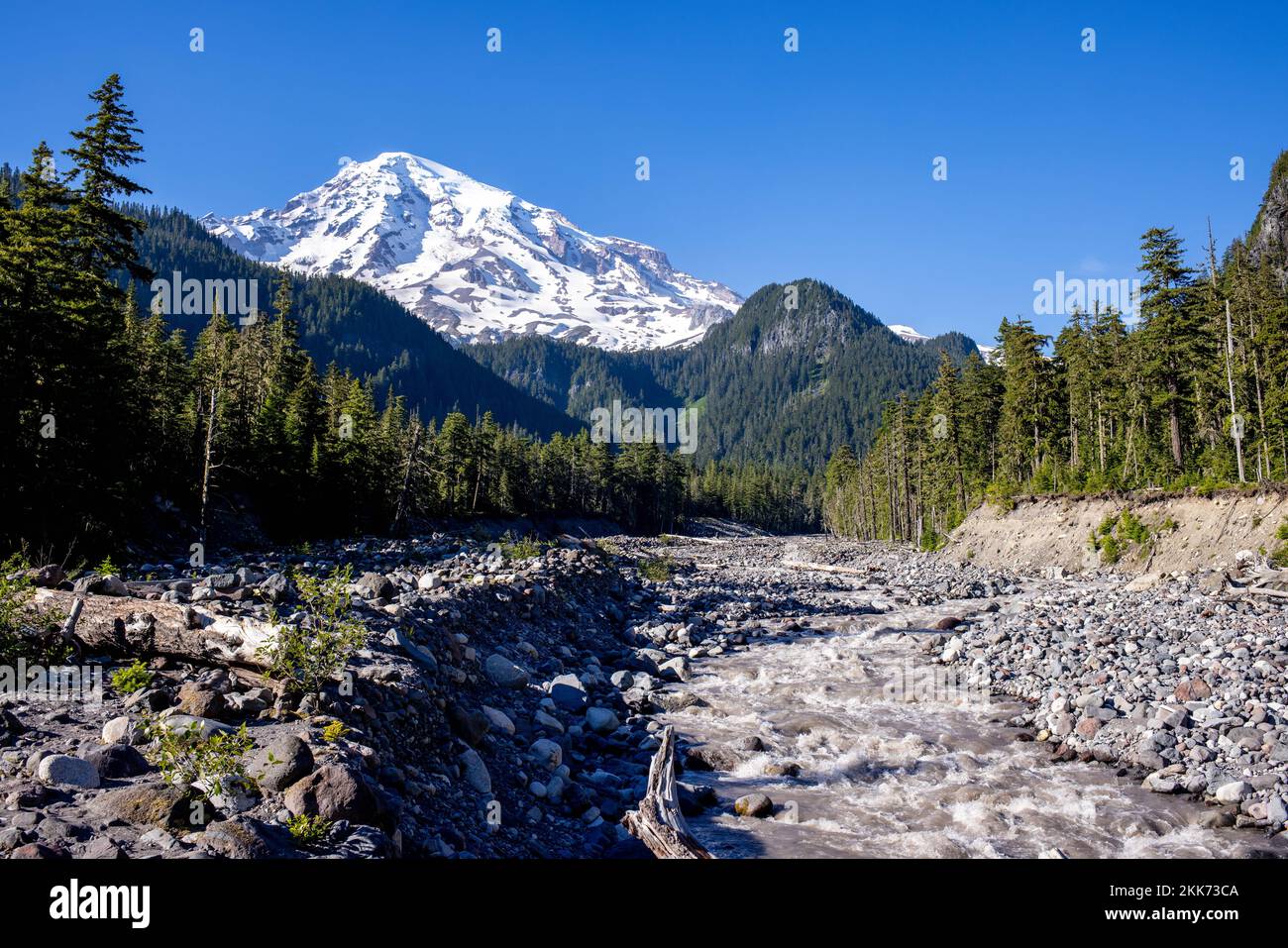 An aerial view of a narrow road in the beautiful forest in winter Stock ...
