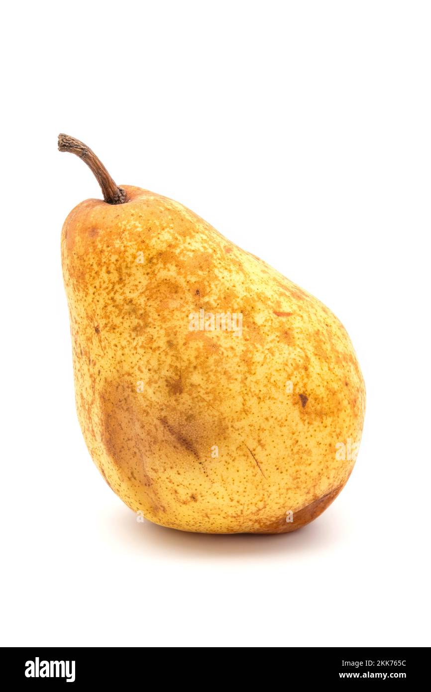 Very ripe Conference pear (Pyrus communis) isolated on the white ...