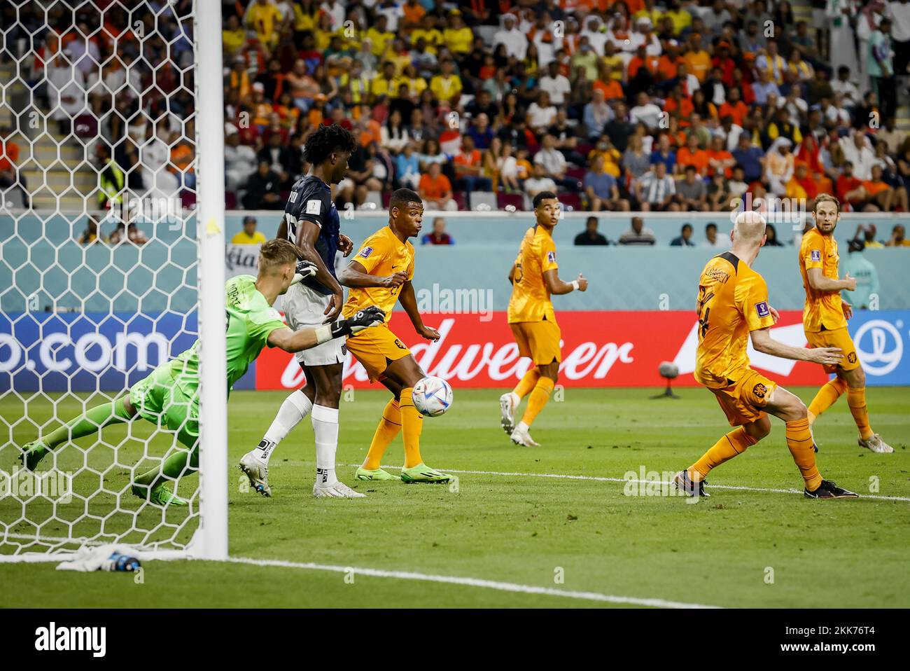 AL-RAYYAN - (LR) Holland goalkeeper Andries Noppert, Jackson Porozo of ...