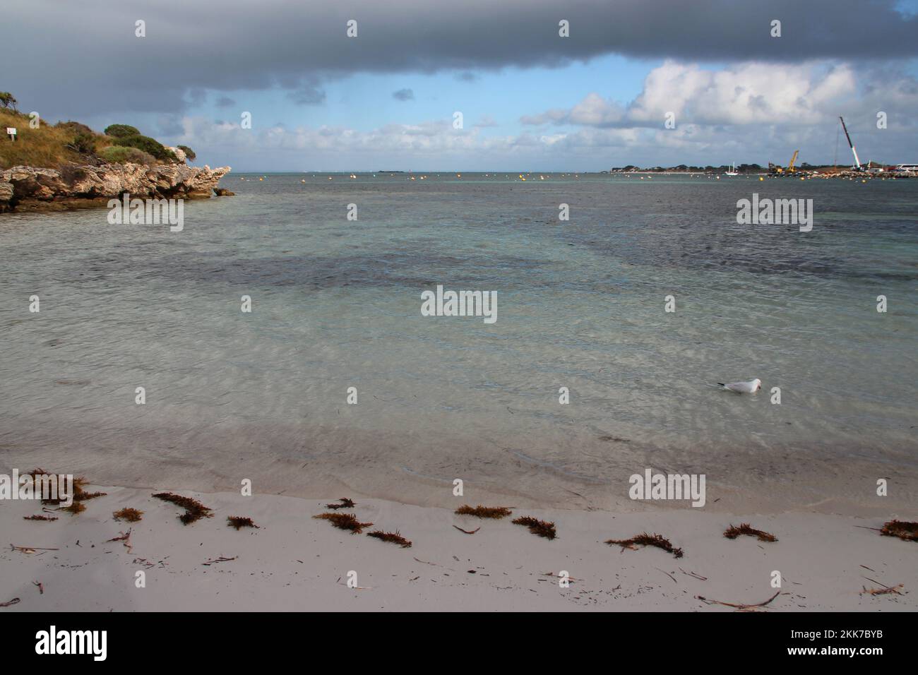 indian ocean at thomson bay at rottnest island in australia Stock Photo ...