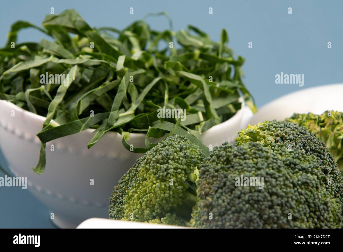 main sources of calcium for the body to help fight osteoporosis Stock ...