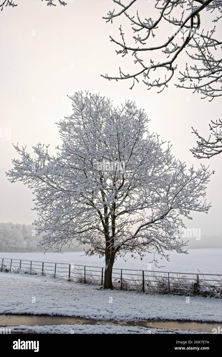 Keele grounds hi-res stock photography and images - Alamy