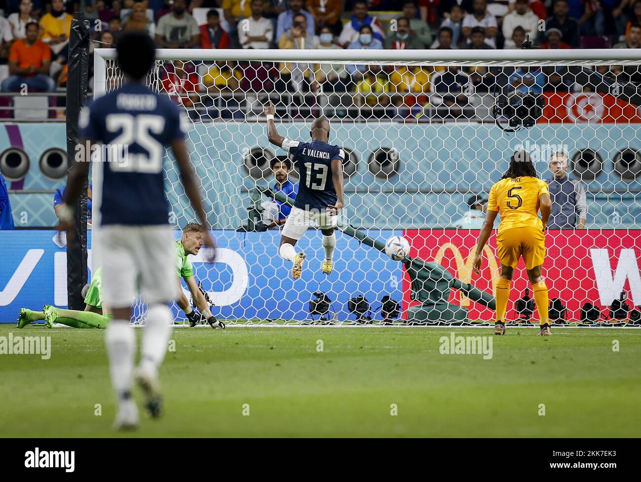 AL-RAYYAN - (LR) Jackson Porozo of Ecuador, Holland goalkeeper Andries ...
