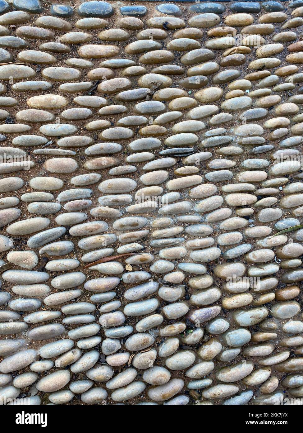 The closeup of a river pebble stones used for wall background of a ...