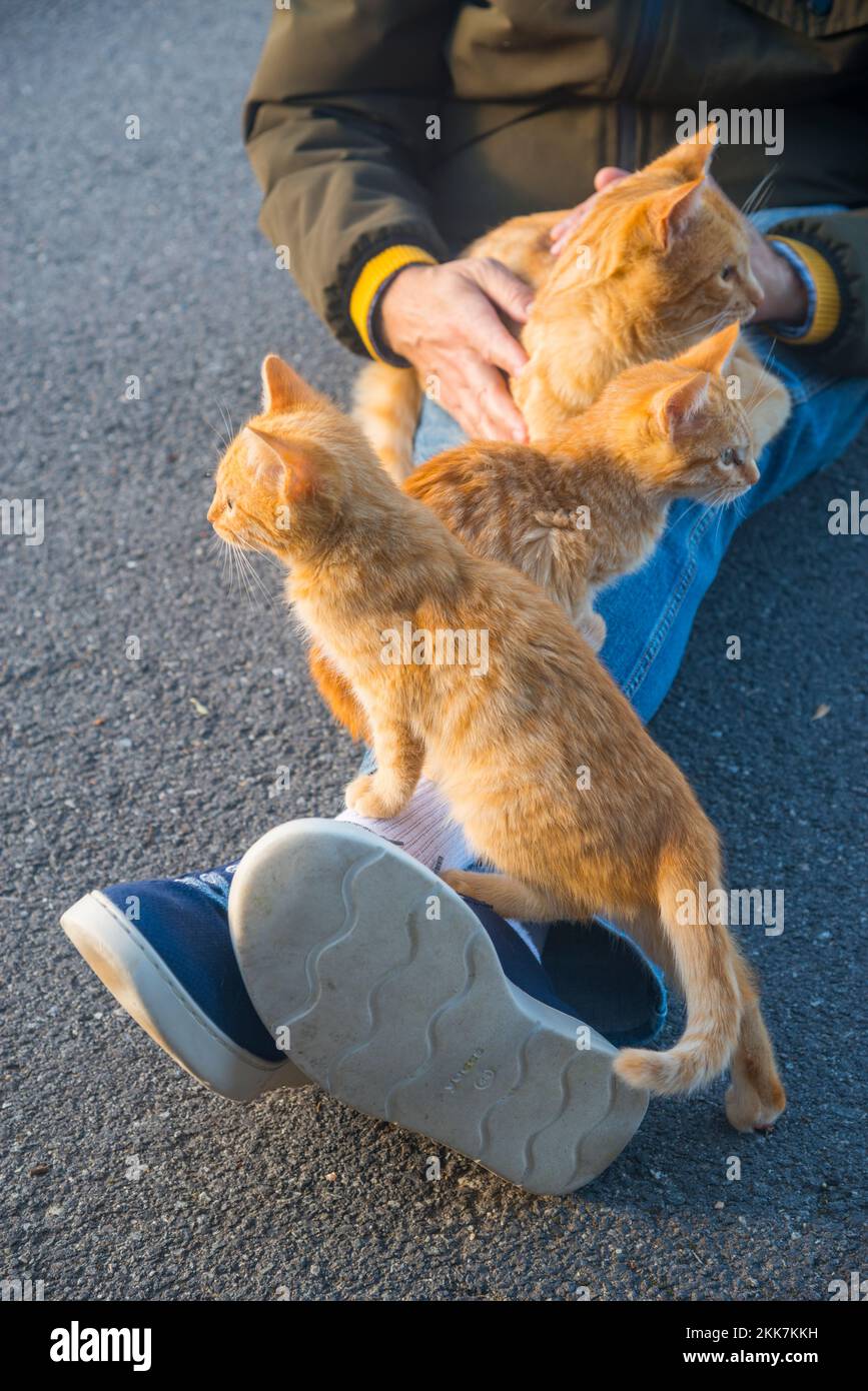 Amor por los animales hi-res stock photography and images - Alamy