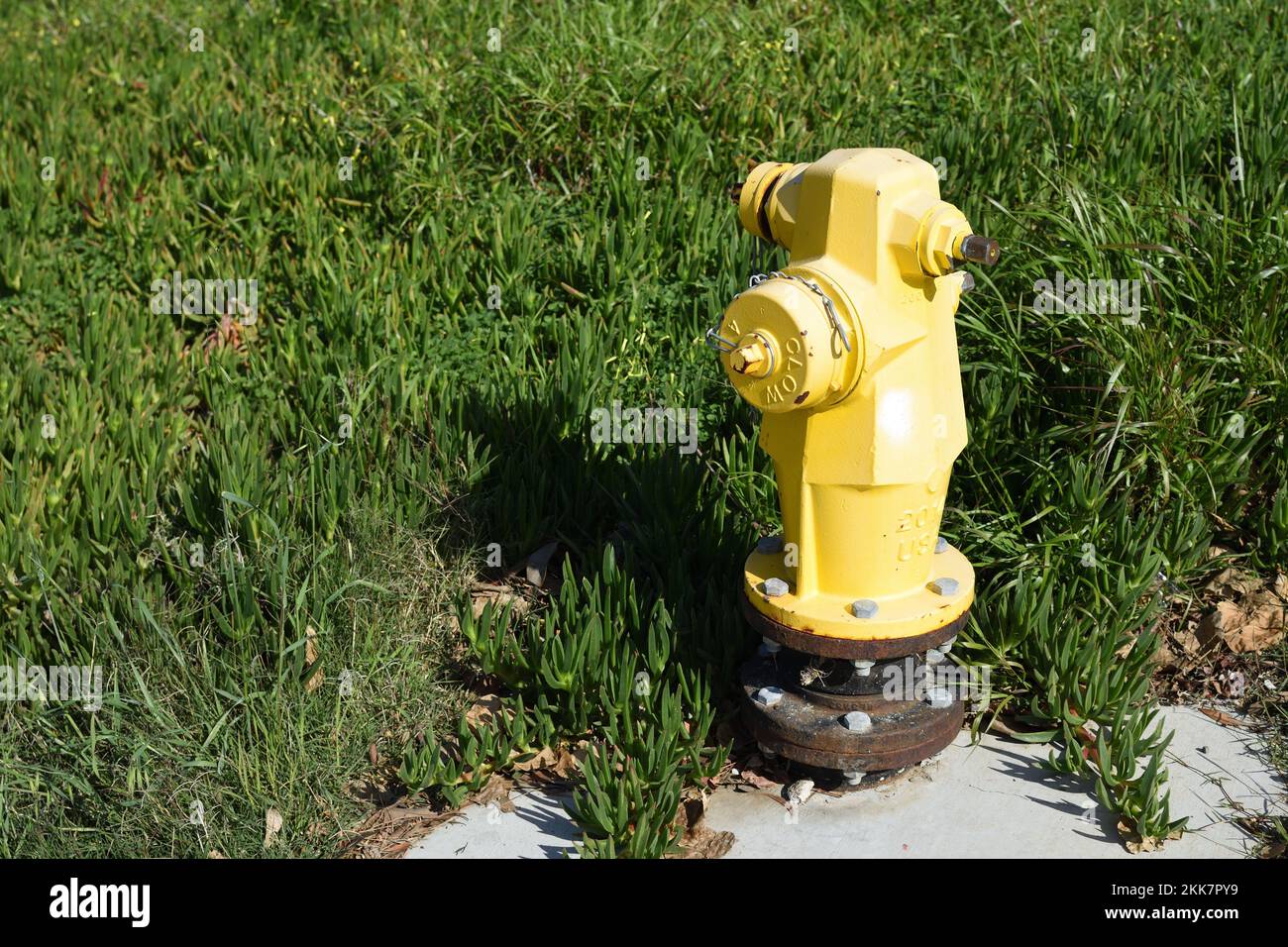 Flushing hydrant hi-res stock photography and images - Alamy