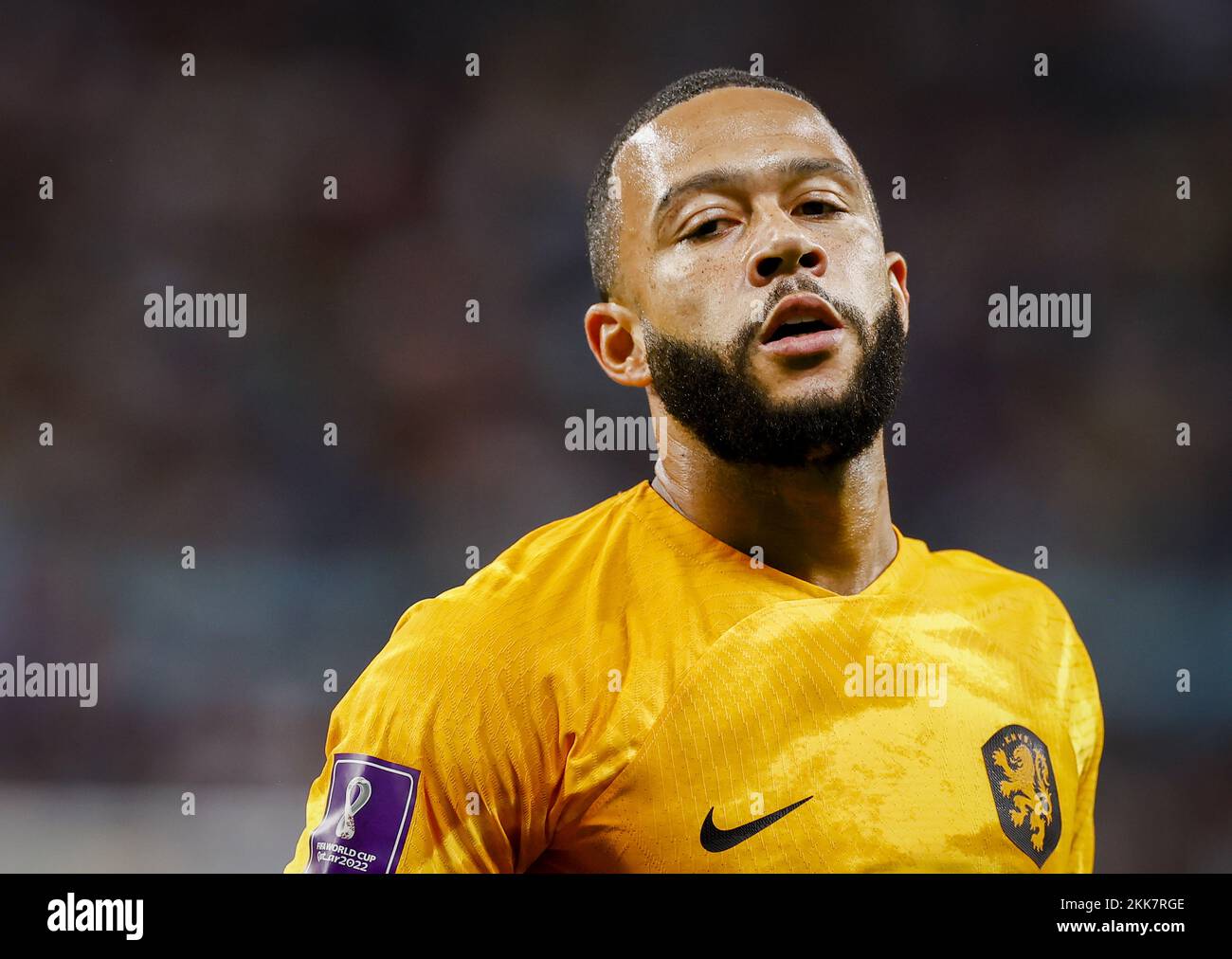 AL-RAYYAN - Memphis Depay of Holland during the FIFA World Cup Qatar ...