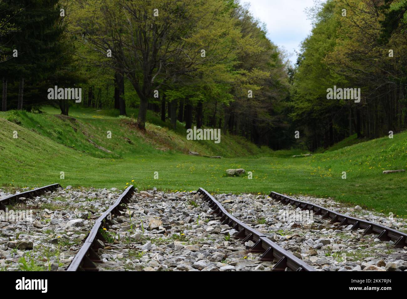 A high-angle of railway train tracks grass and trees background Stock ...