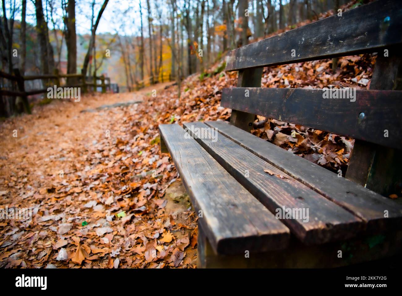 Natural Relaxation & Vibrations; Nature in the Fall; Winter Solstice ...