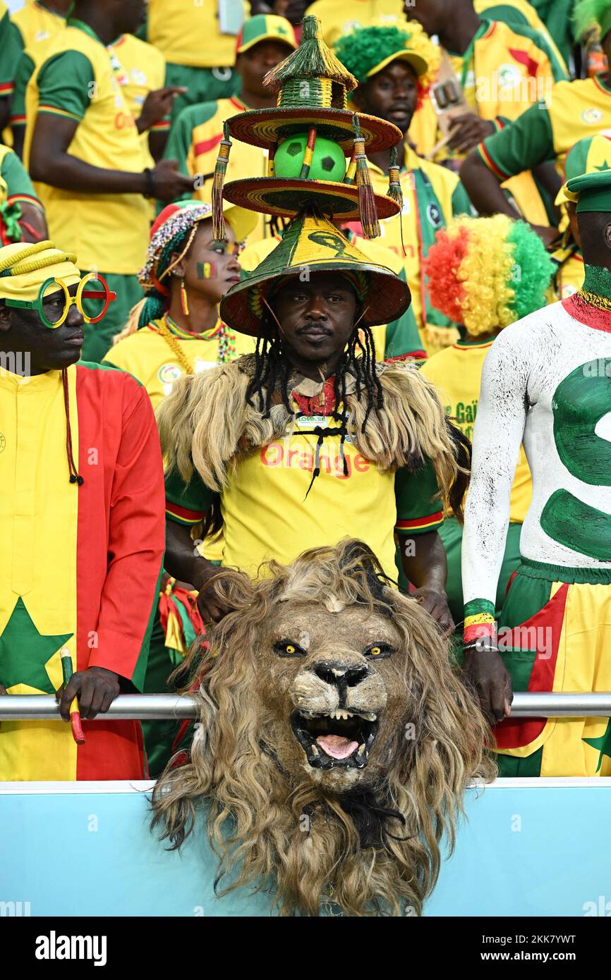Senegalese fans attend the Qatar v Senegal match of the Fifa World Cup ...