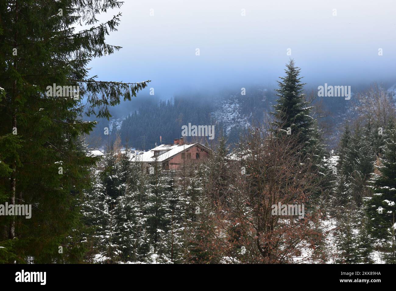 Forrest house in Austrian alps Stock Photo - Alamy