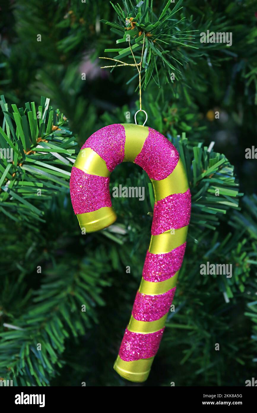 Closeup of vivid Color Candy Cane Ornament on the Christmas Tree Stock ...