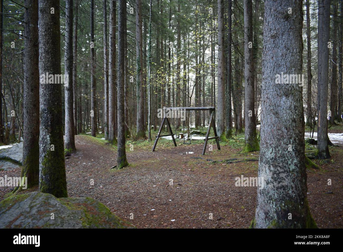 Lonely swing in Austrian forest on a cloudy and snowy day Stock Photo ...