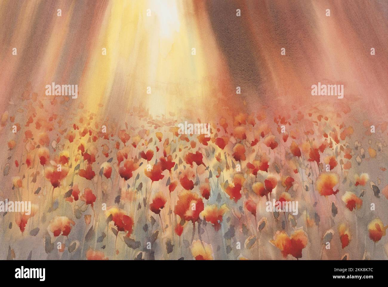 Red poppy field in the evening light watercolor background Stock Photo ...