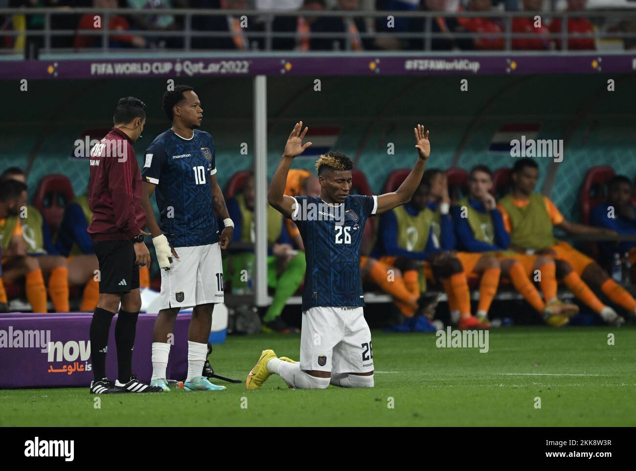Doha, Qatar. 25th Nov, 2022. Kevin Rodriguez (R, front) of Ecuador ...
