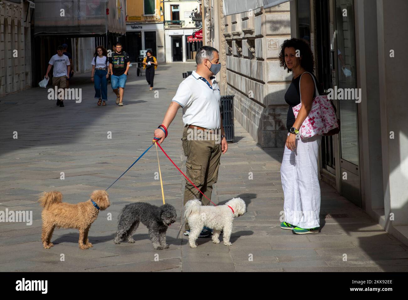 Venice, Italy - July 3, 2021: dog sitter with 3 poodles walks with the ...